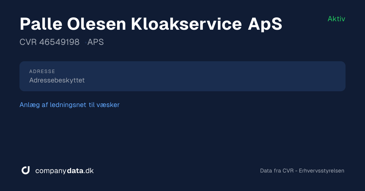 Palle Olesen Kloakservice ApS – CVR 46549198 – Regnskaber